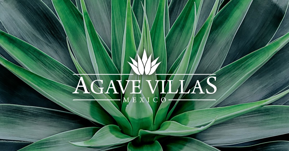 Villa Rentals in East Cape | Agave Villas